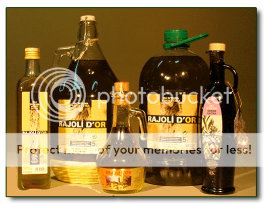 El president d'honor de Borges insta l'empresariat a «adaptar-se» al ...