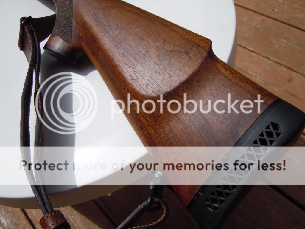 BSA CF2/Monarch/Majestic Rifles | Gunboards Forums