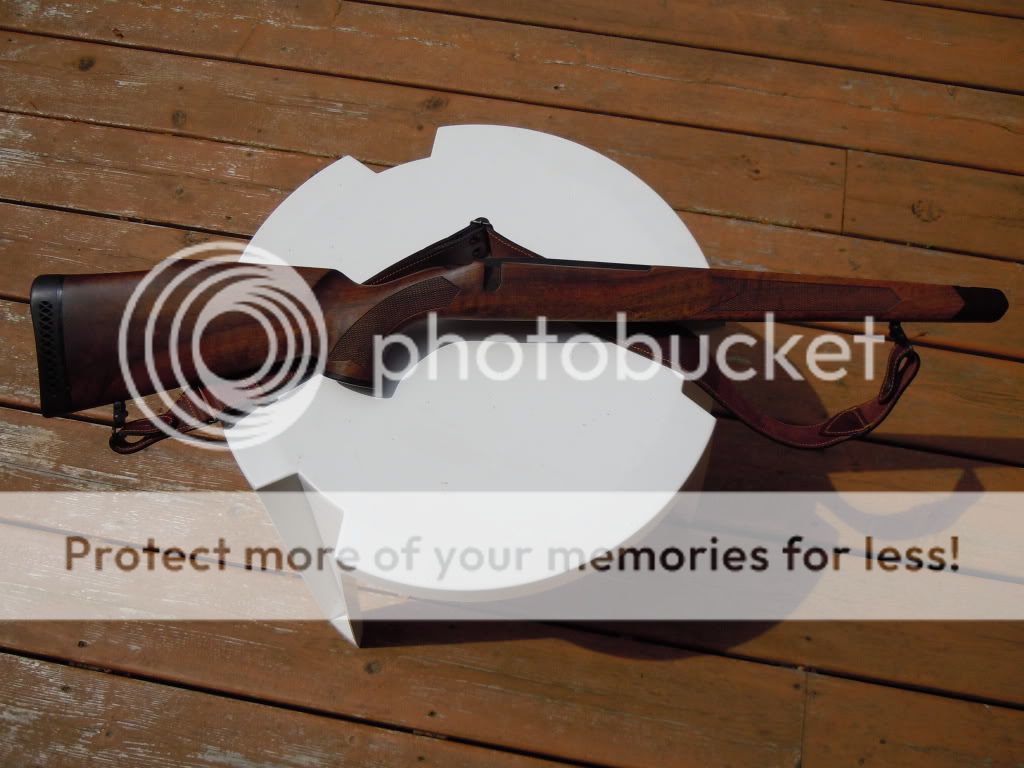 BSA CF2/Monarch/Majestic Rifles | Gunboards Forums