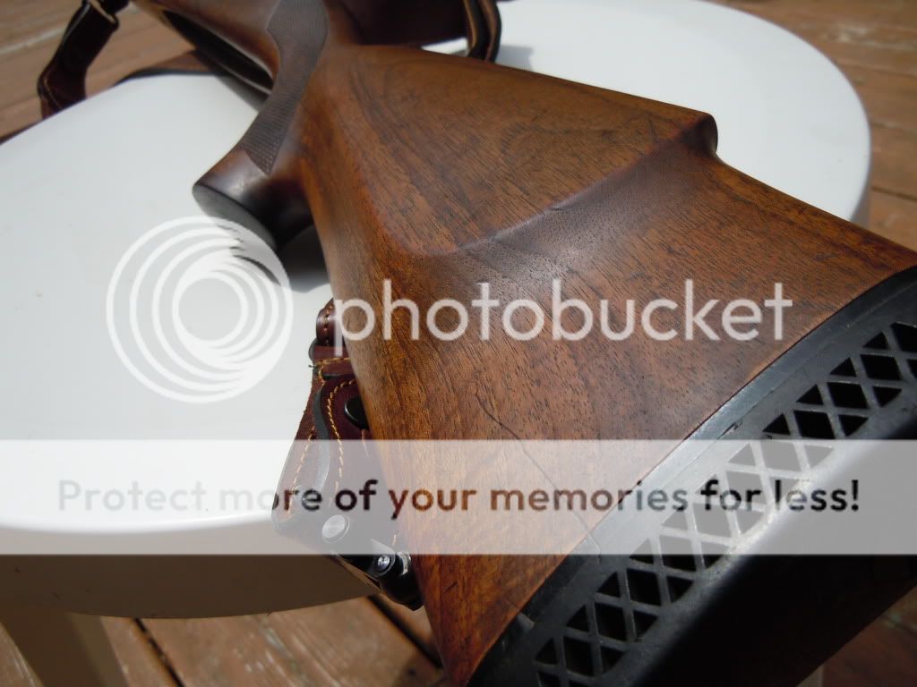 BSA CF2/Monarch/Majestic Rifles | Gunboards Forums