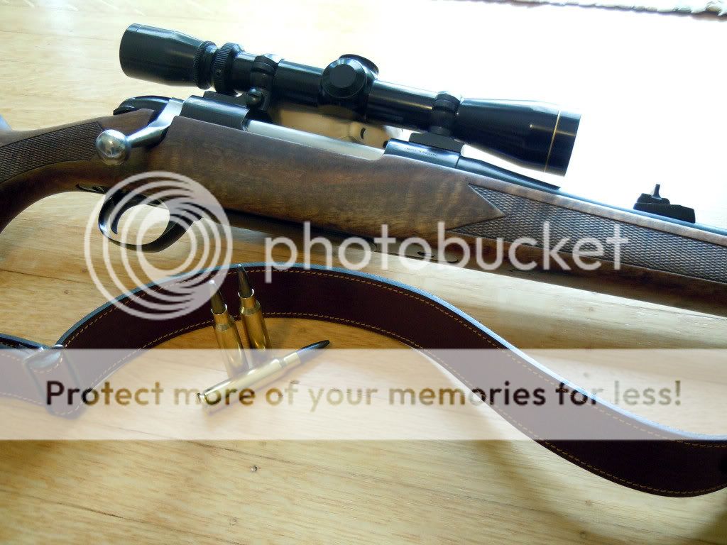 BSA CF2/Monarch/Majestic Rifles | Gunboards Forums
